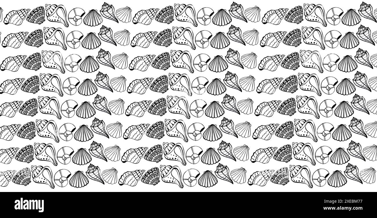 A pattern of shells of different shapes. Drawing with a black outline ...