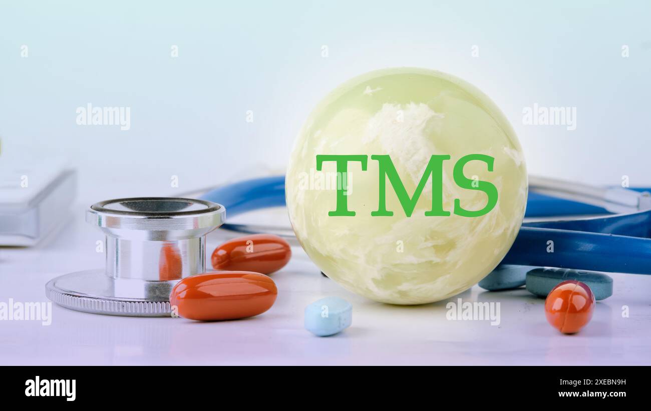 Transportation management system tms hi-res stock photography and ...