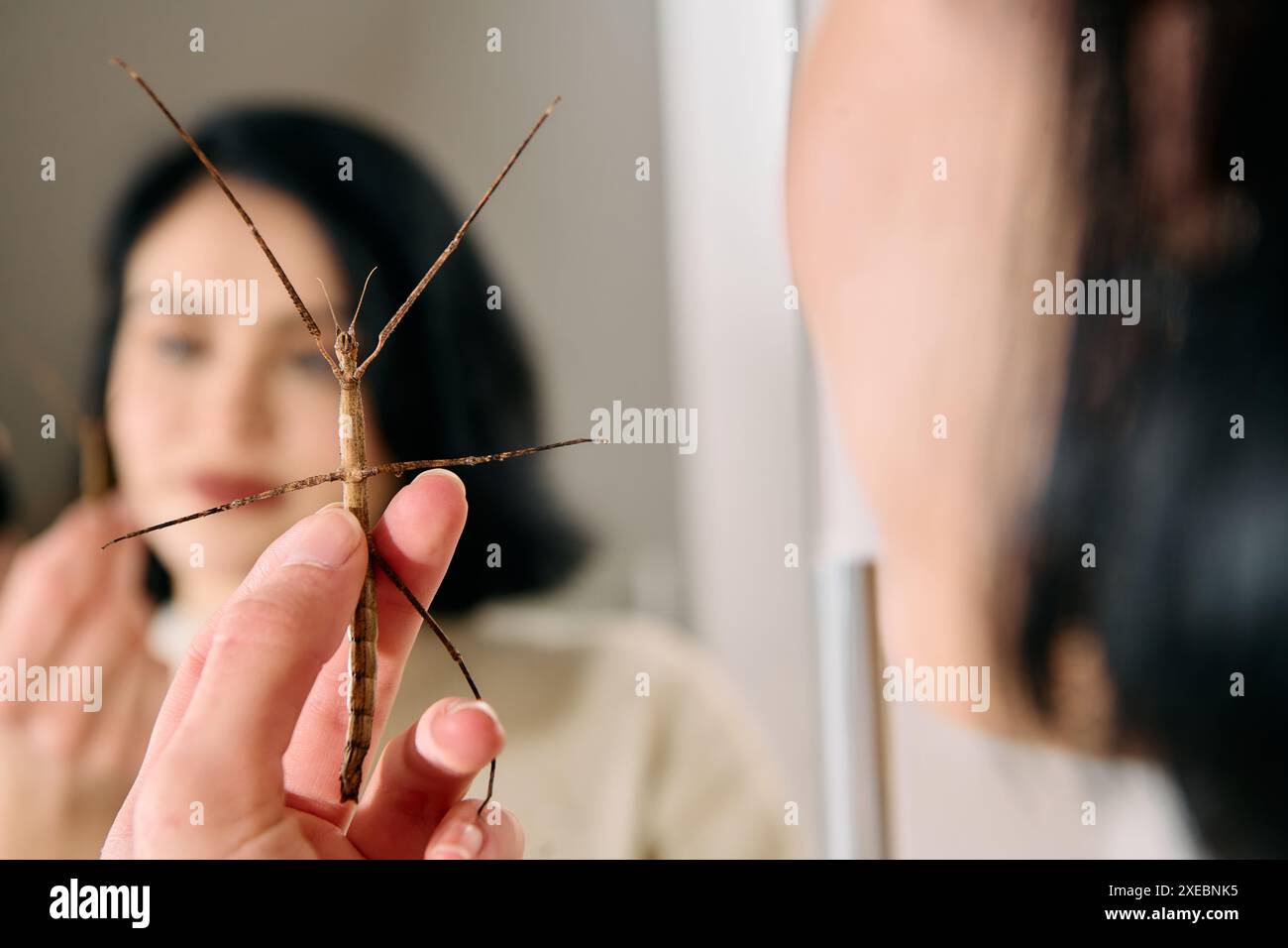 Young Woman Captured in a Beautiful Moment with Her Stick Insect ...