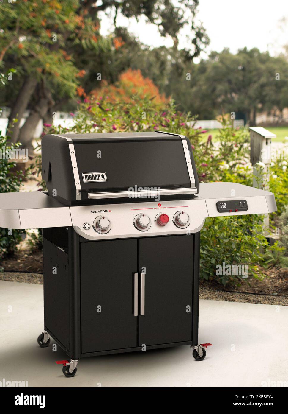 This is a handout photo of Weber Genesis Smart Gas BBQ in summer garden ...