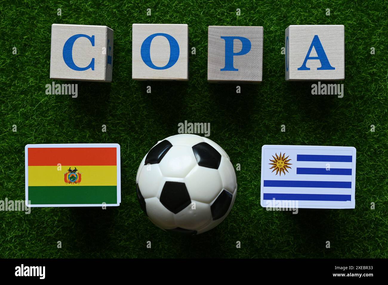 June 18, 2024, Miami, USA. Flags of the participating teams of the ...