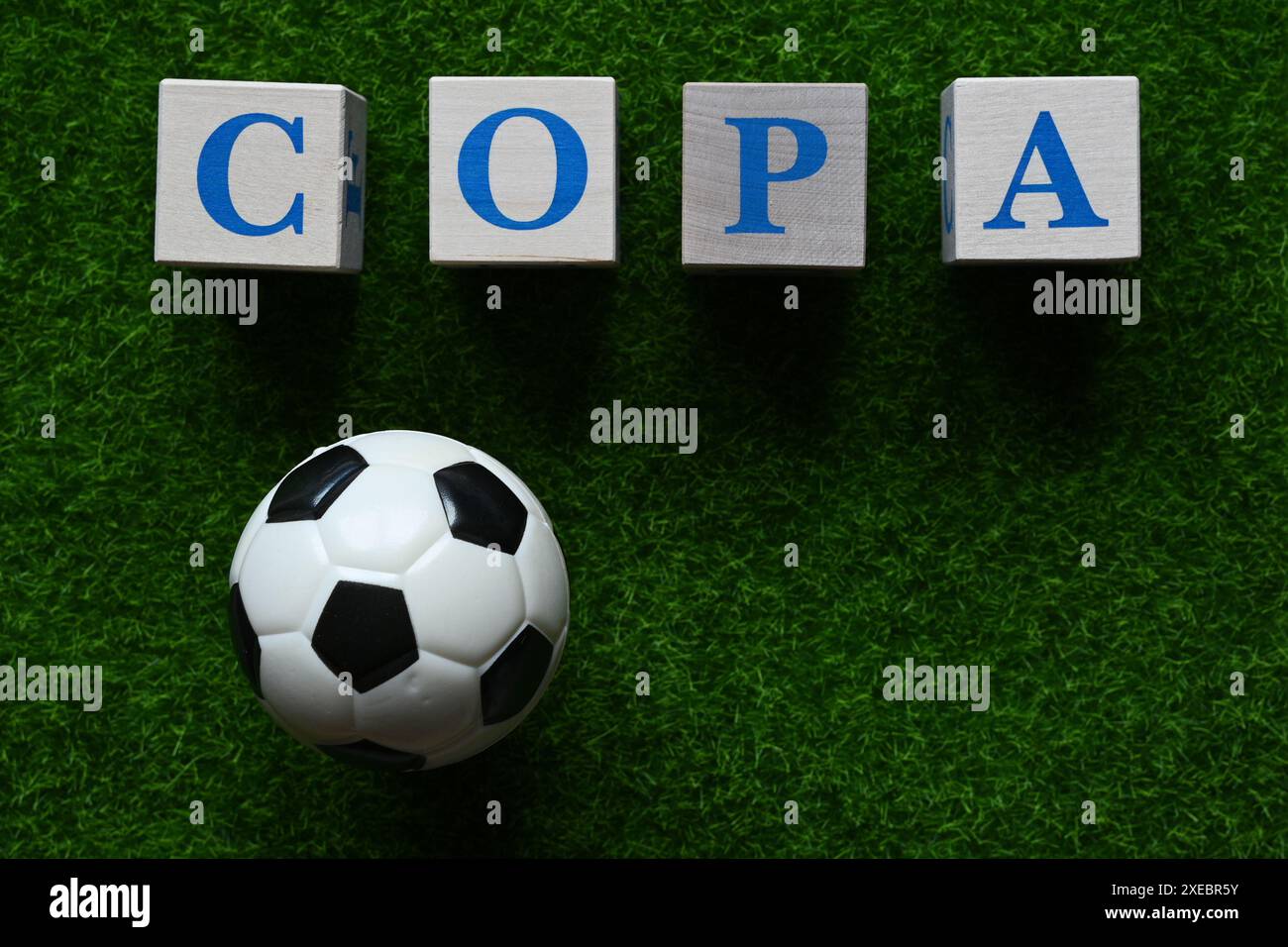 June 18, 2024, Miami, USA. A soccer ball on a green lawn. Copa America ...