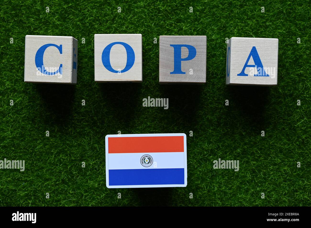 June 20, 2024, Miami, USA. The flag of the Paraguay national team is a ...
