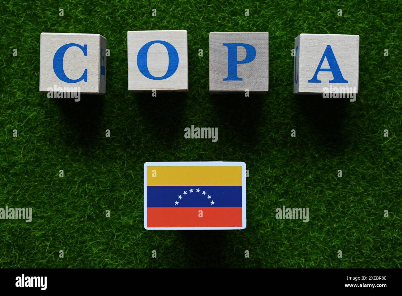 June 20, 2024, Miami, USA. The flag of the Venezuela national team is a ...