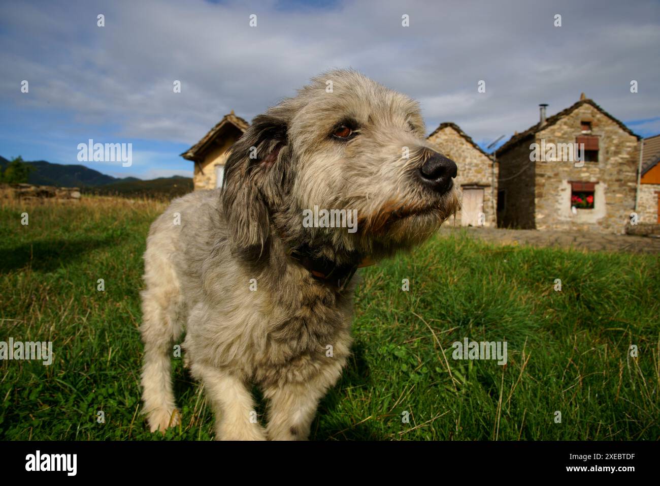 typical houses "Bordas". Buerba.Huesca.Pyrenean mountain range.España ...