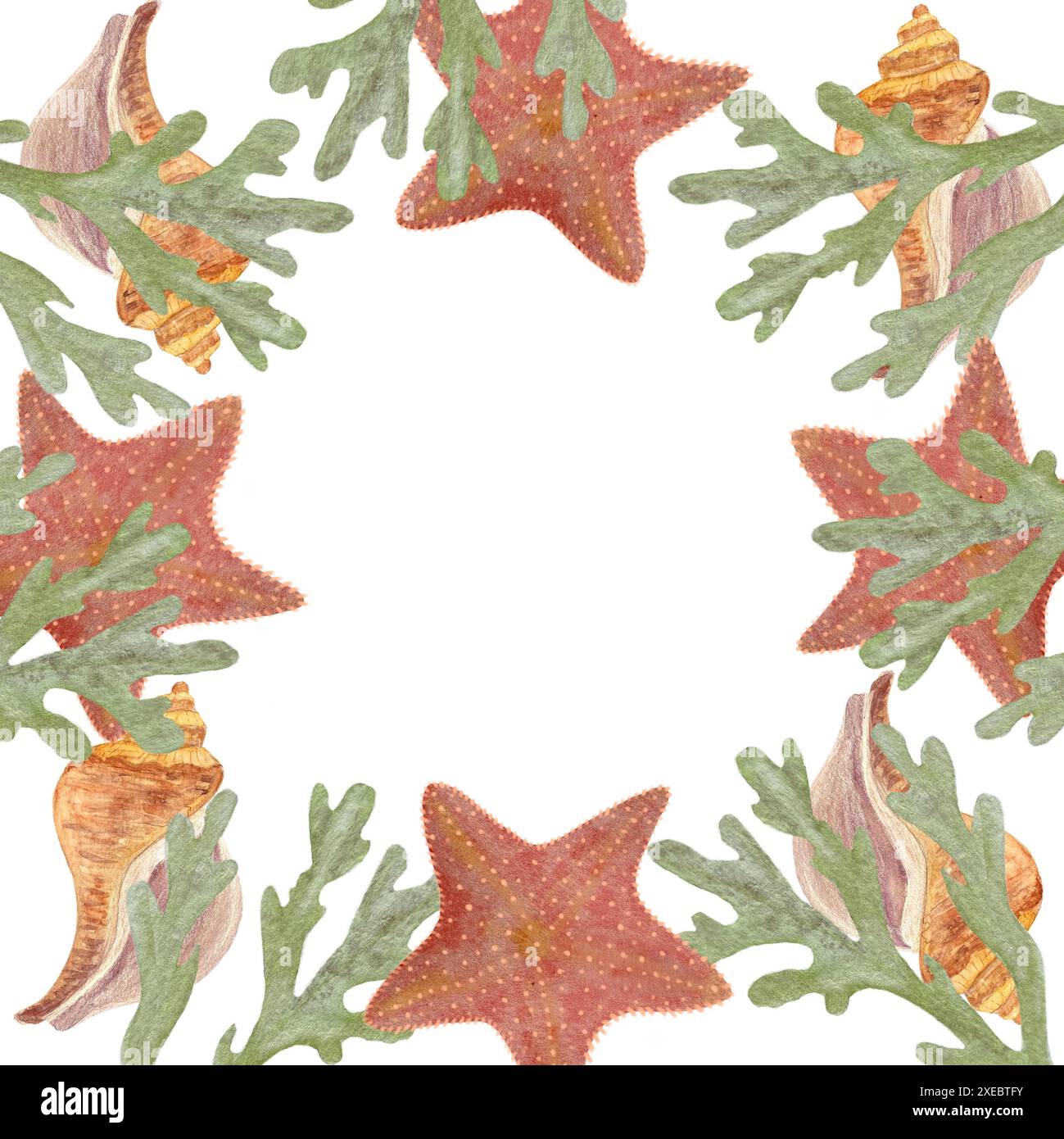 Watercolor hand-drawn starfish conch seaweed square frame isolated on ...