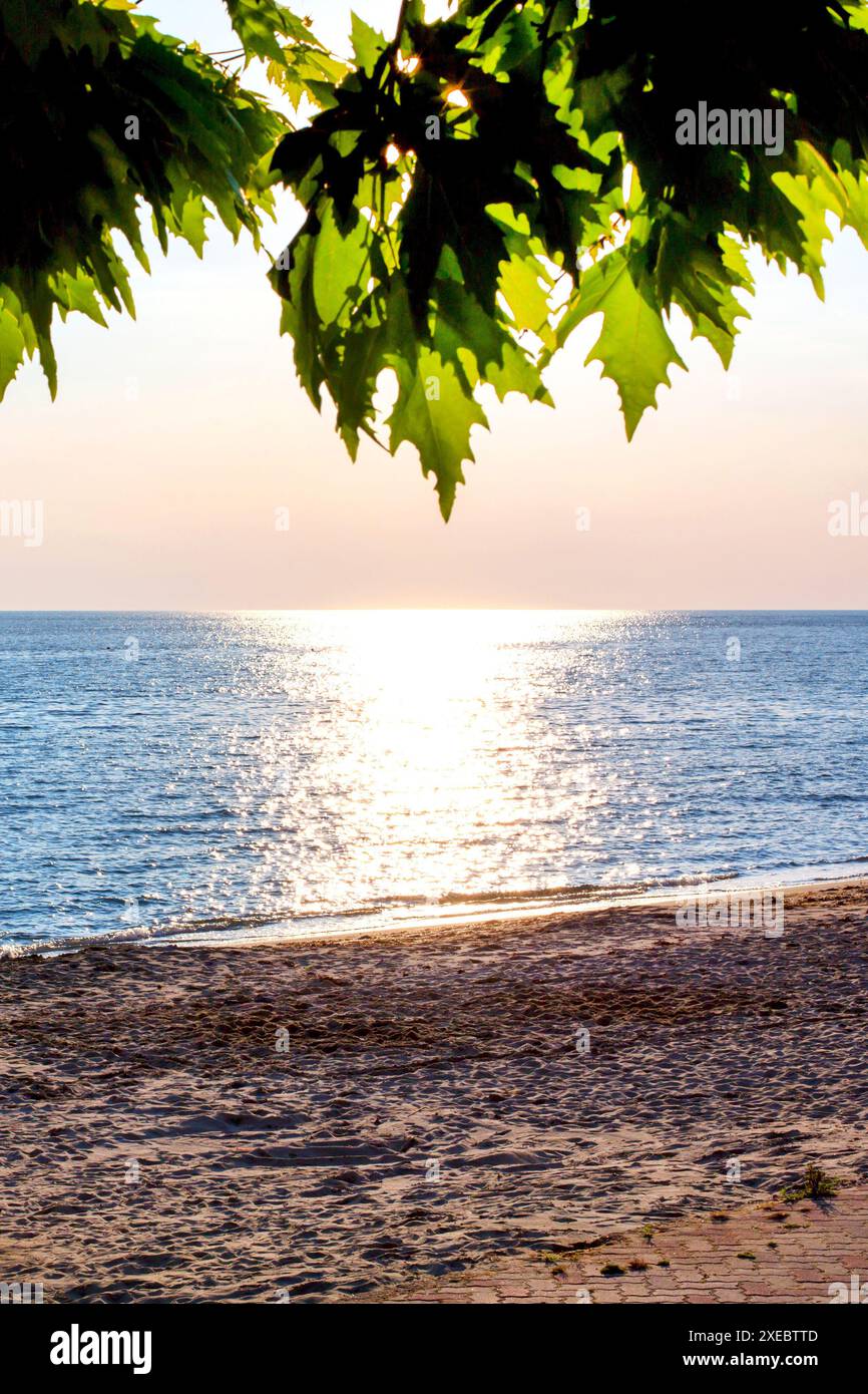 Sandy beach, sea during the sunset background Stock Photo - Alamy
