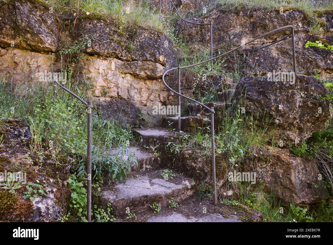 Rusty handrail on a stone pathway. Outdoor walkway. Gardening Stock ...