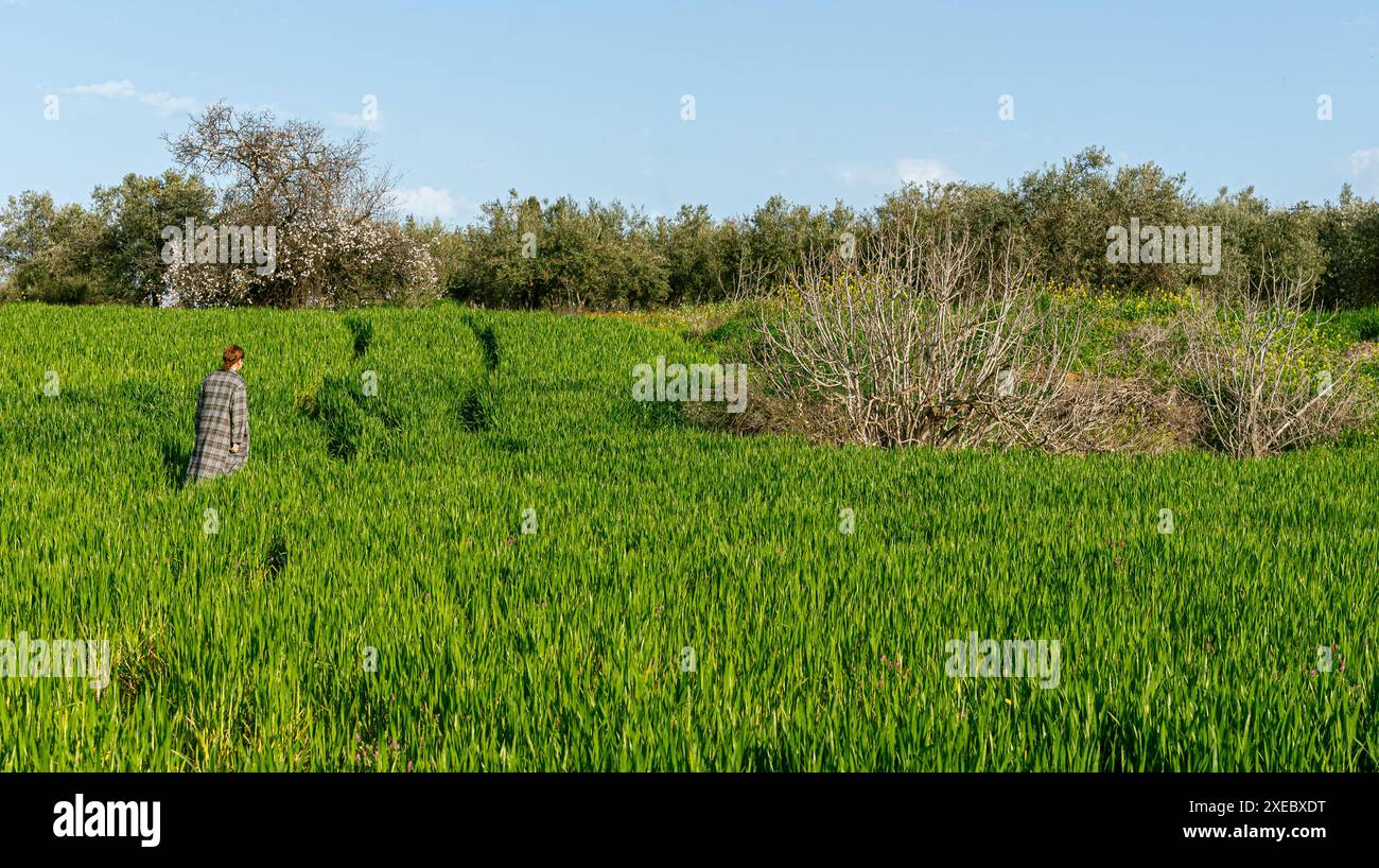 Woman walking through a meadow hi-res stock photography and images - Alamy