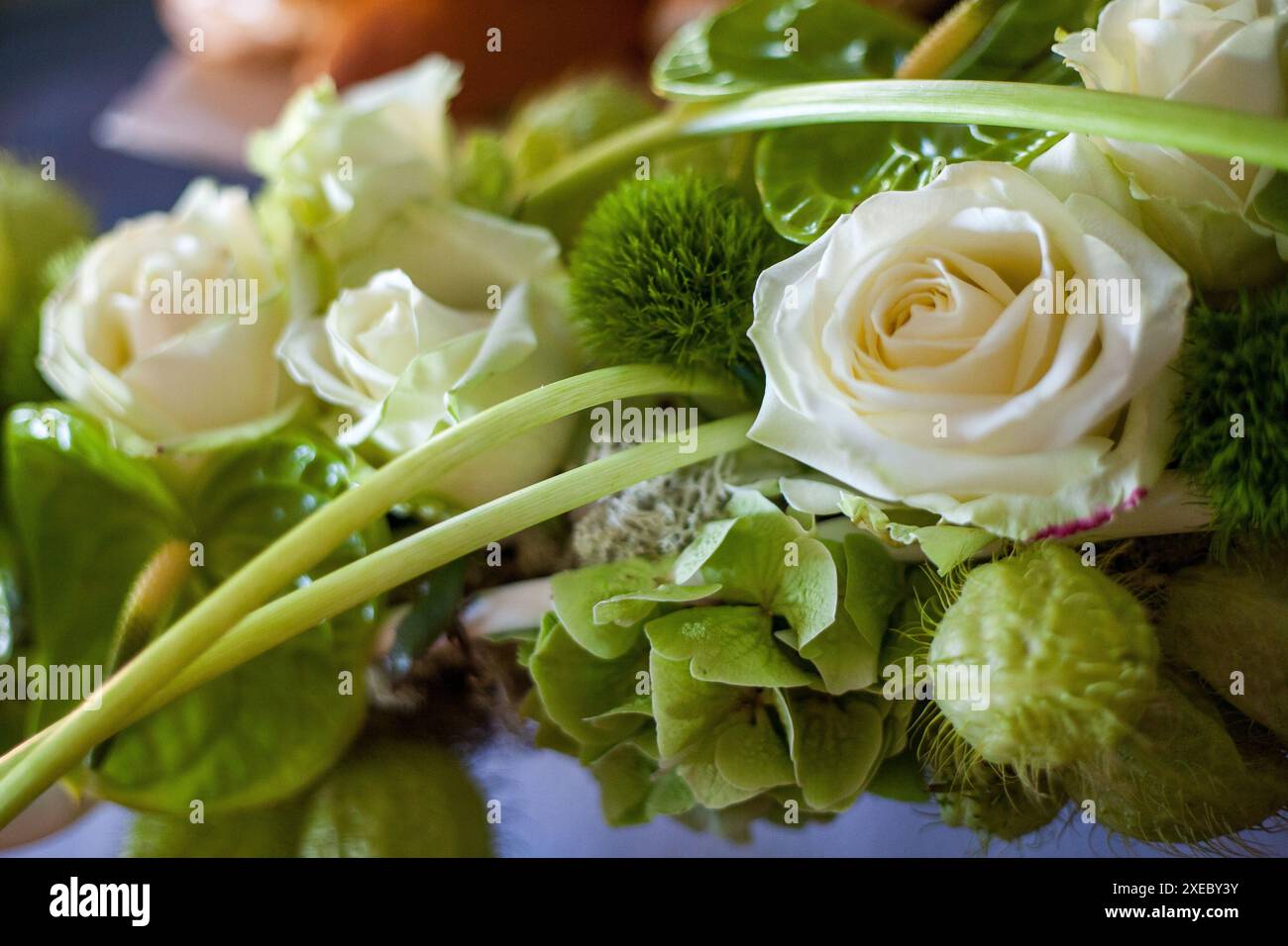 Lush plant arrangement hi-res stock photography and images - Alamy