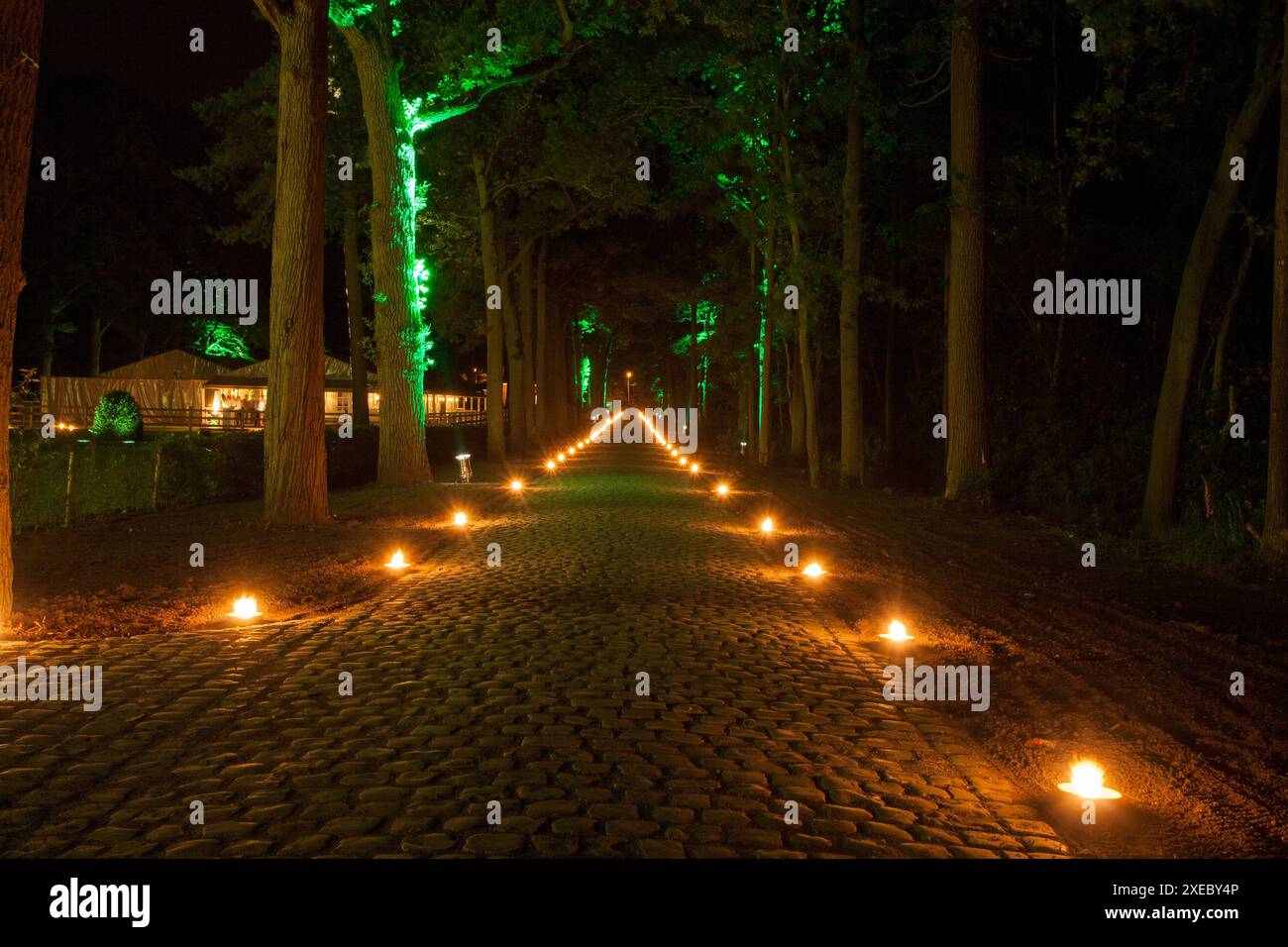 Enchanted Forest Path Illuminated by Candlelight and Fairy Lights Stock Photo - Alamy