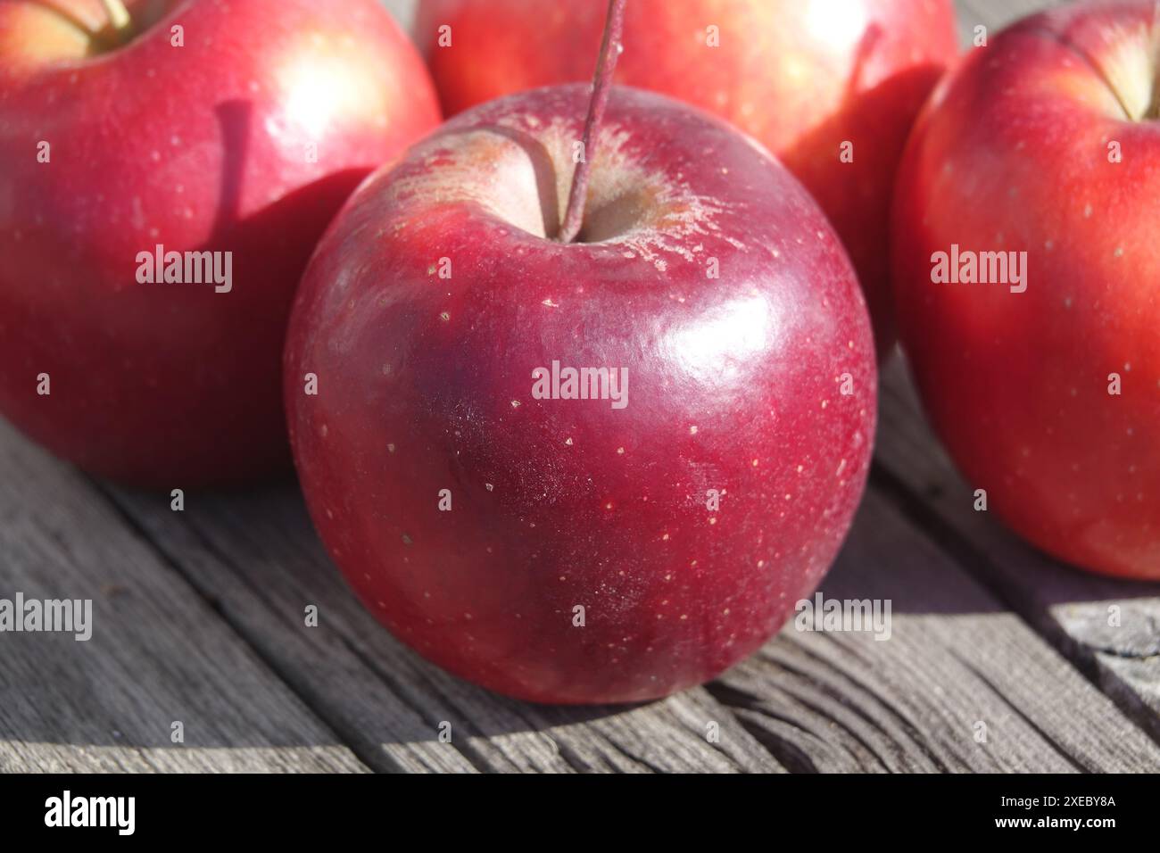 Apple story hi-res stock photography and images - Alamy