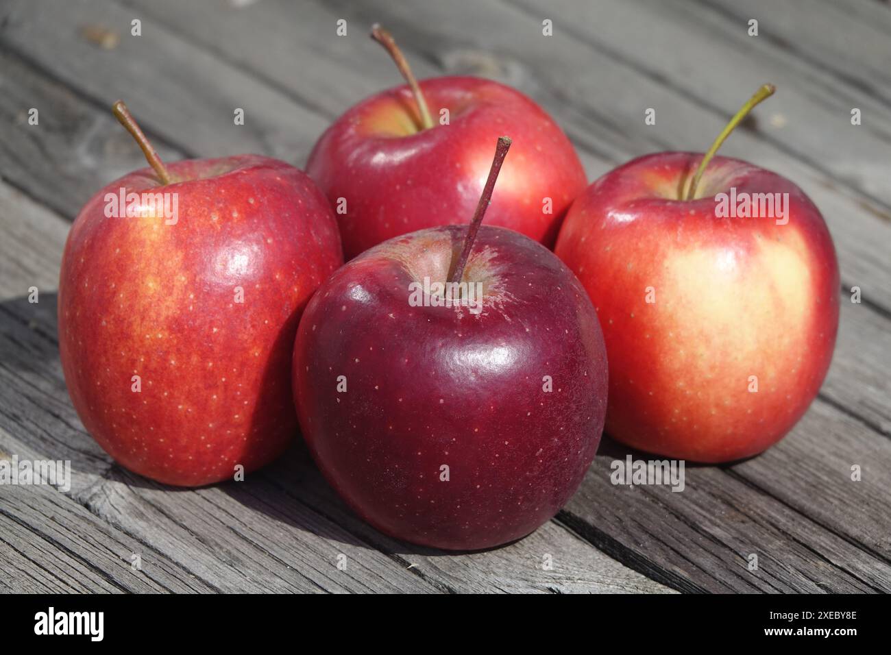 Apple story hi-res stock photography and images - Alamy