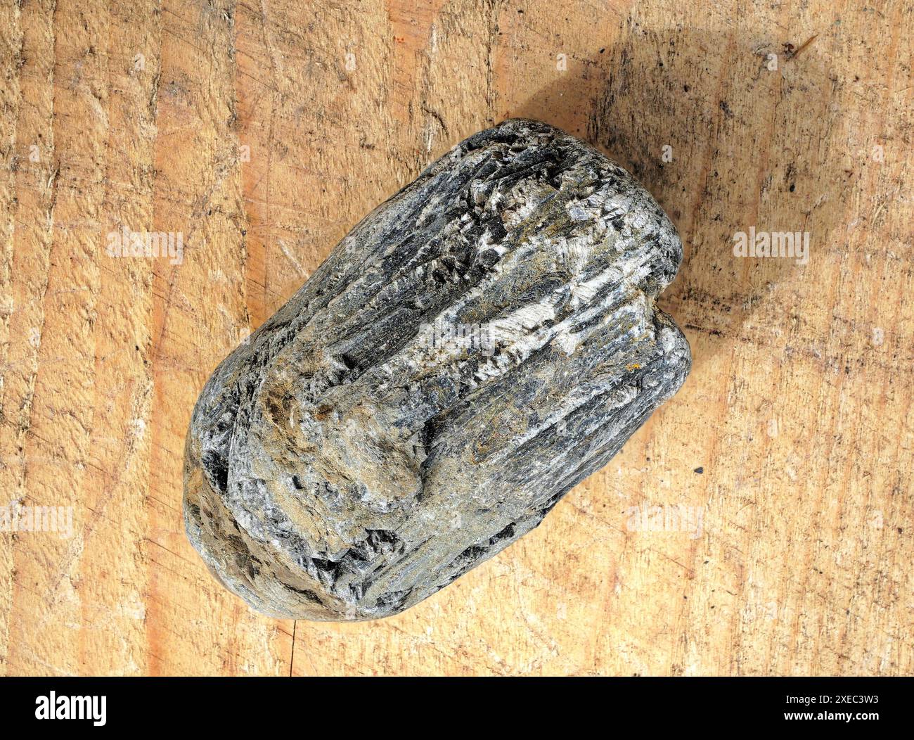 Petrified wood from the Baltic region is not only aesthetically ...