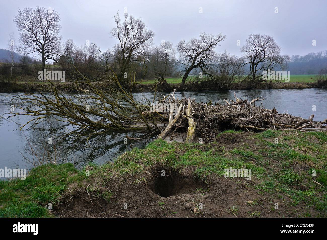 Biberanlage hi-res stock photography and images - Alamy