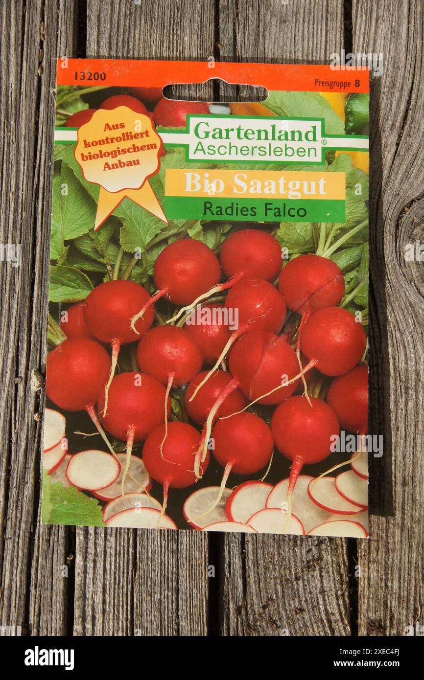 Raphanus sativus, radish, seed Stock Photo - Alamy