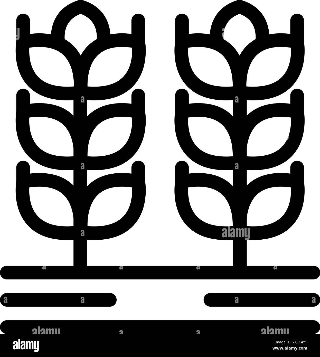 Simple black and white icon of two wheat stalks growing in a field ...