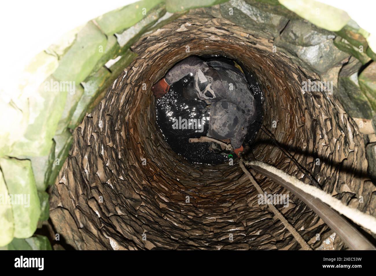 A person inside a well cleans the bottom from dirt and silt ...