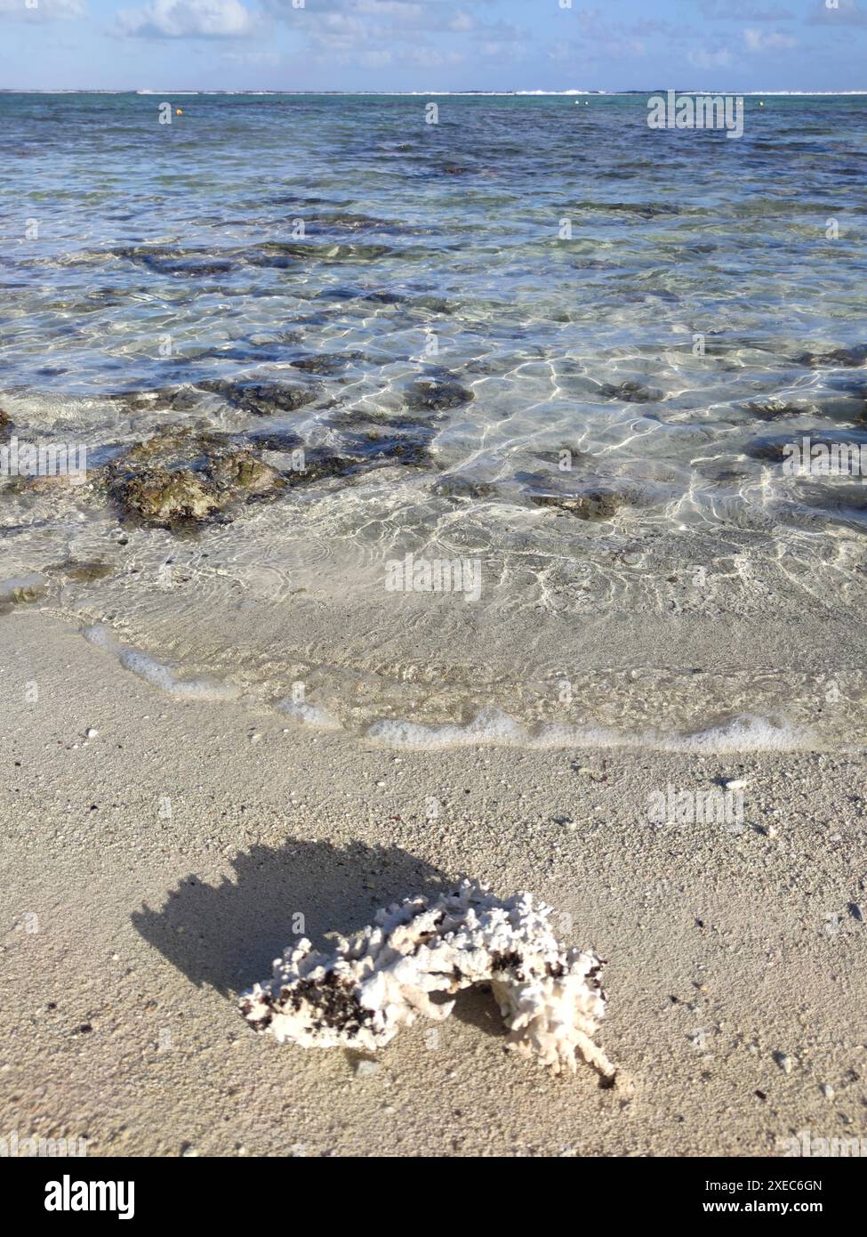 Crystal coral hi-res stock photography and images - Alamy