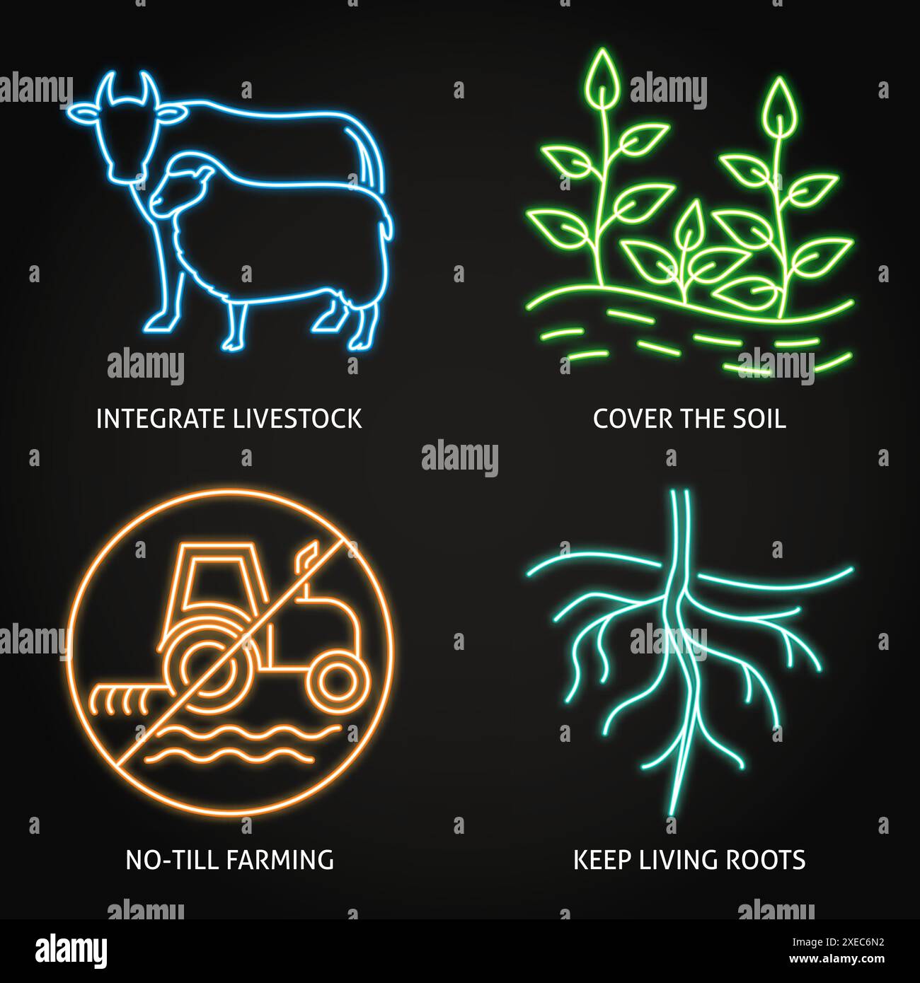 Conservation principles Stock Vector Images - Alamy