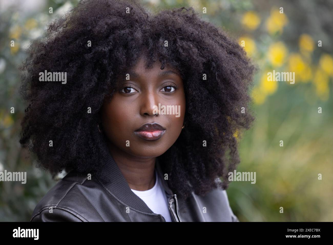 Serene Young African American Woman with Lush Curly Hair in Nature ...