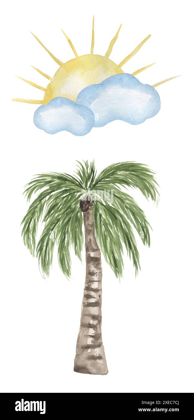 Watercolor palm tree and sun with clouds illustration Stock Photo - Alamy