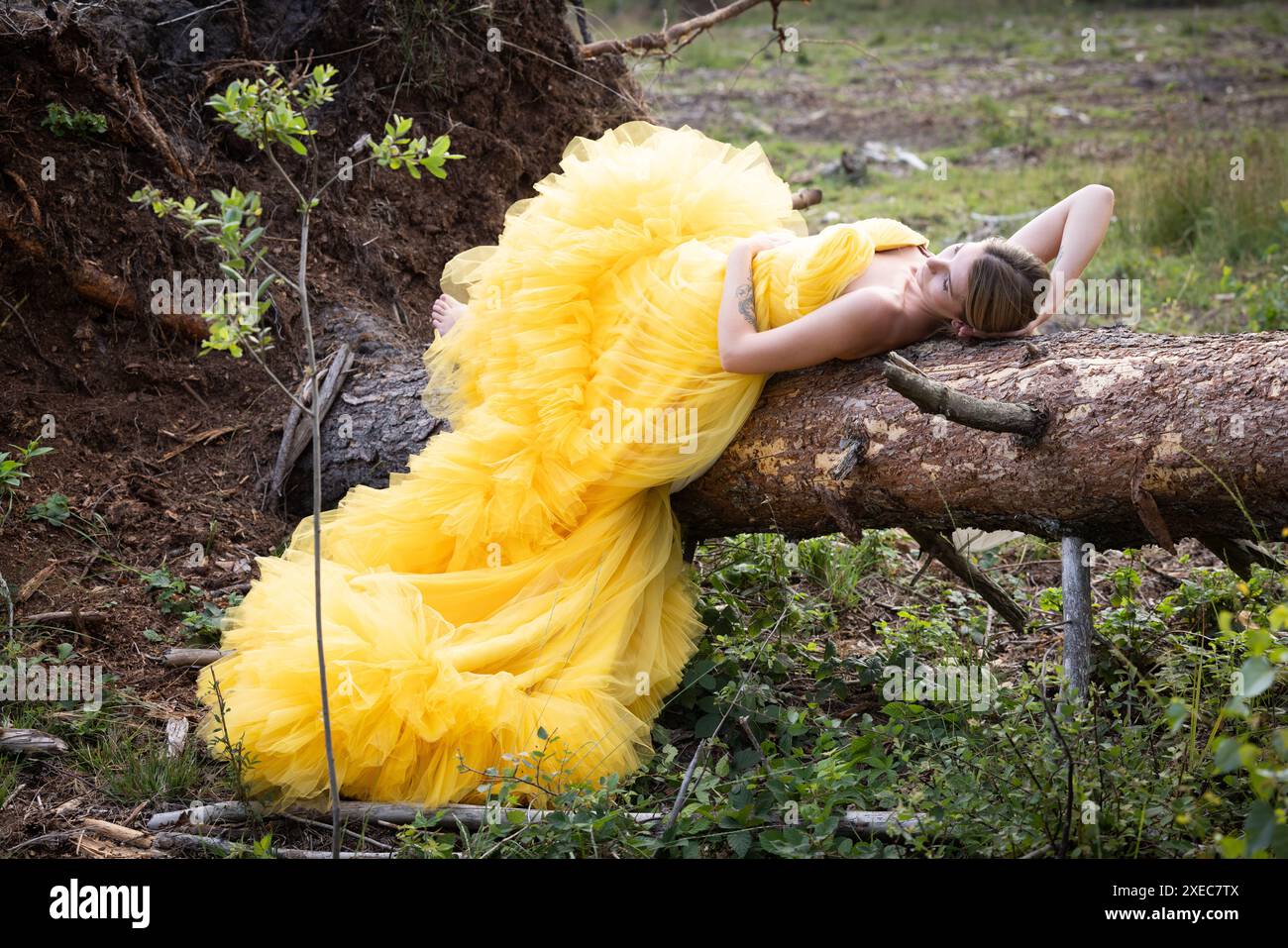 Repose in Nature: Woman in a Yellow Gown Resting on a Fallen Tree Stock ...