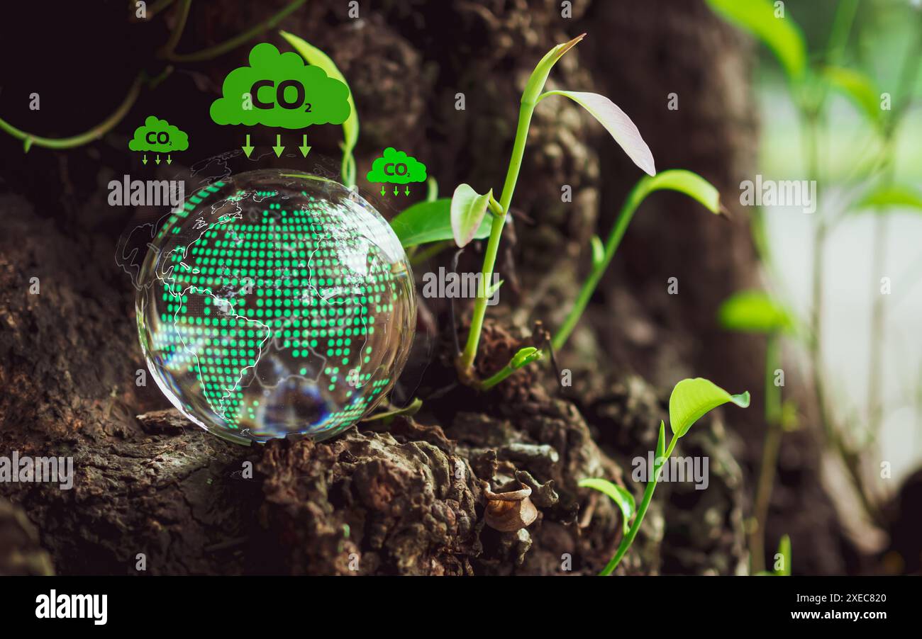 A glass sphere with world map on it. Spheres set on a wooden floor with ...