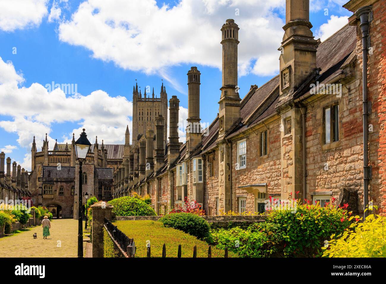 Colourful summer flowers and Cathedral viewed from Vicars Close, Wells ...
