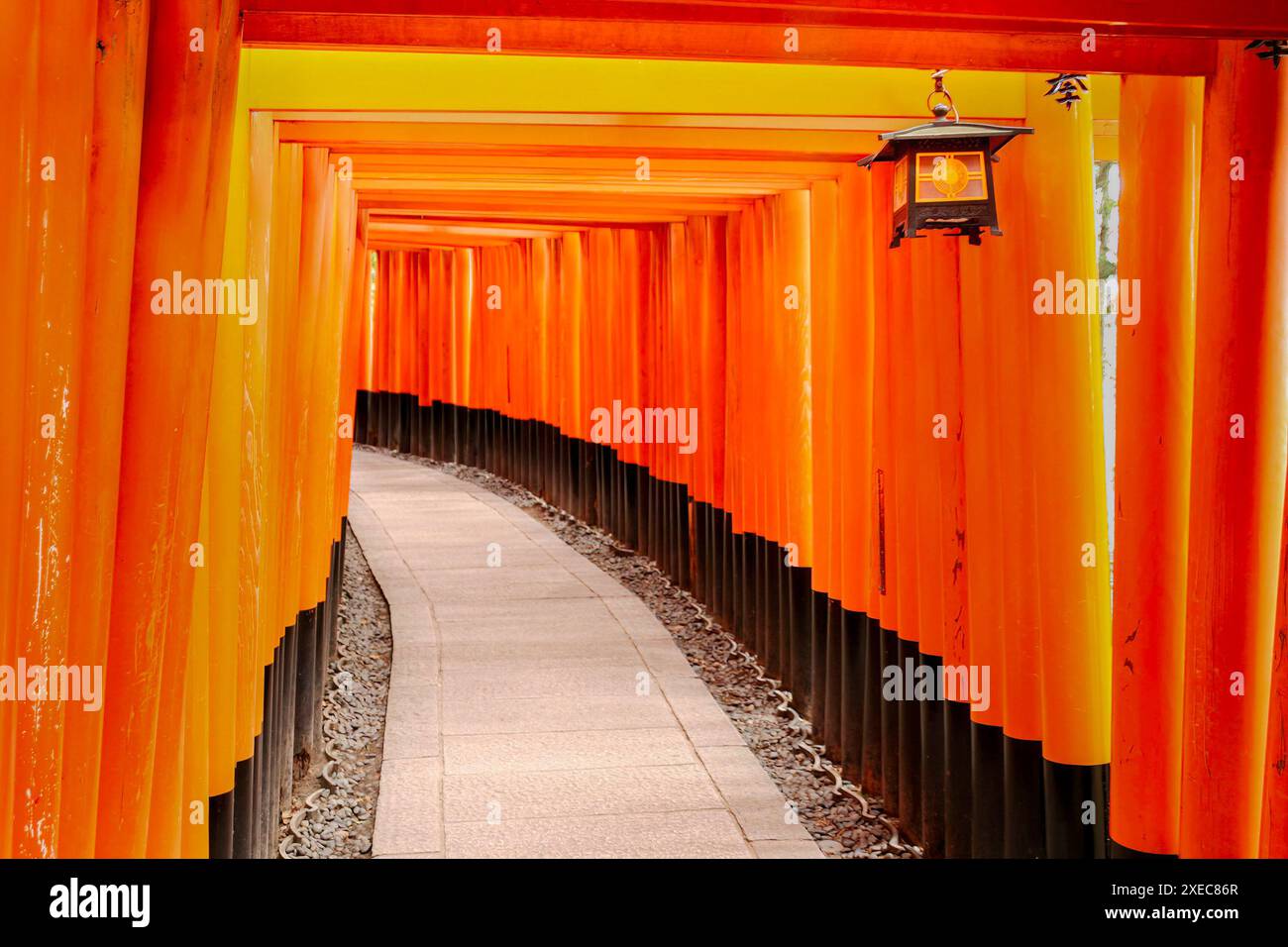 Senbon Torii Gates at a Japanese Temple Stock Photo - Alamy