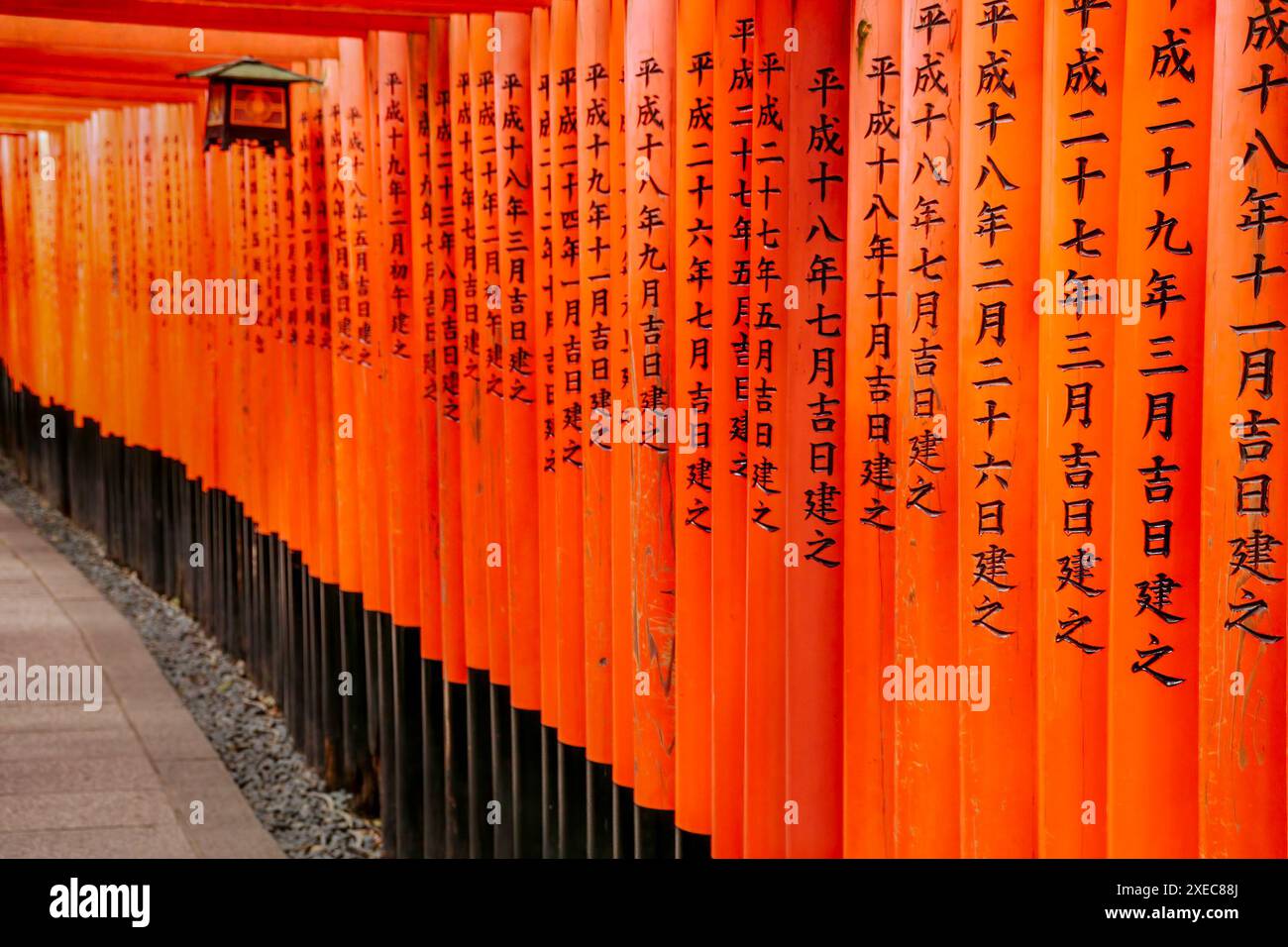 Senbon Torii Gates at a Japanese Temple Stock Photo - Alamy