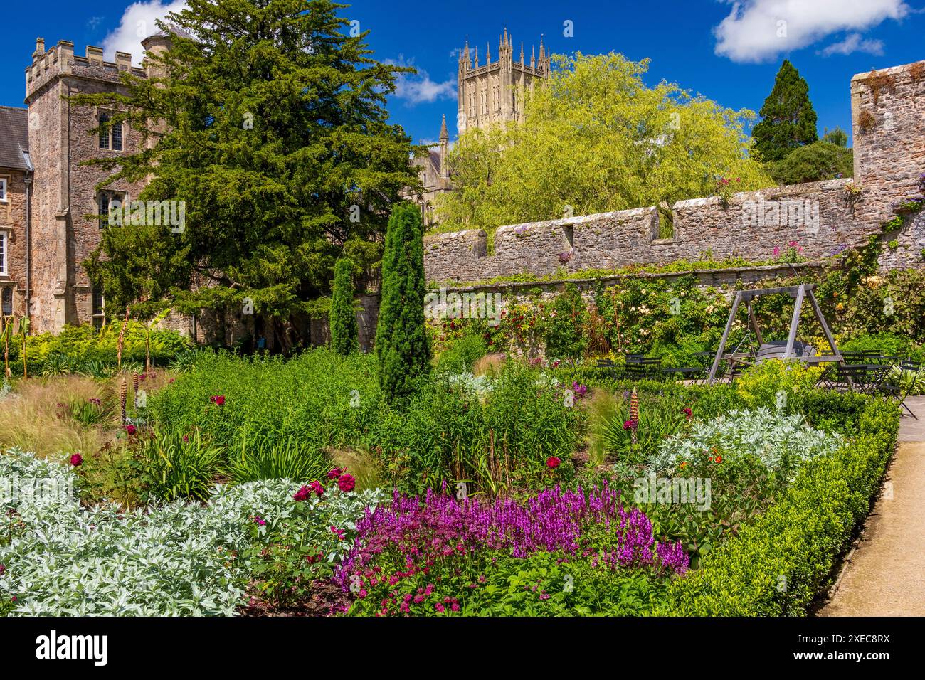 A colourful summer border inside the walls of the Bishop's Palace ...