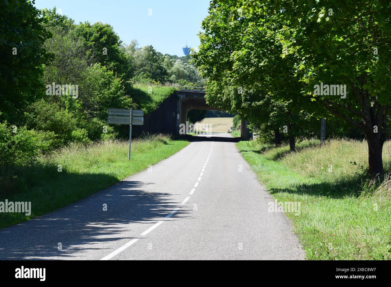Road d81 france hi-res stock photography and images - Alamy