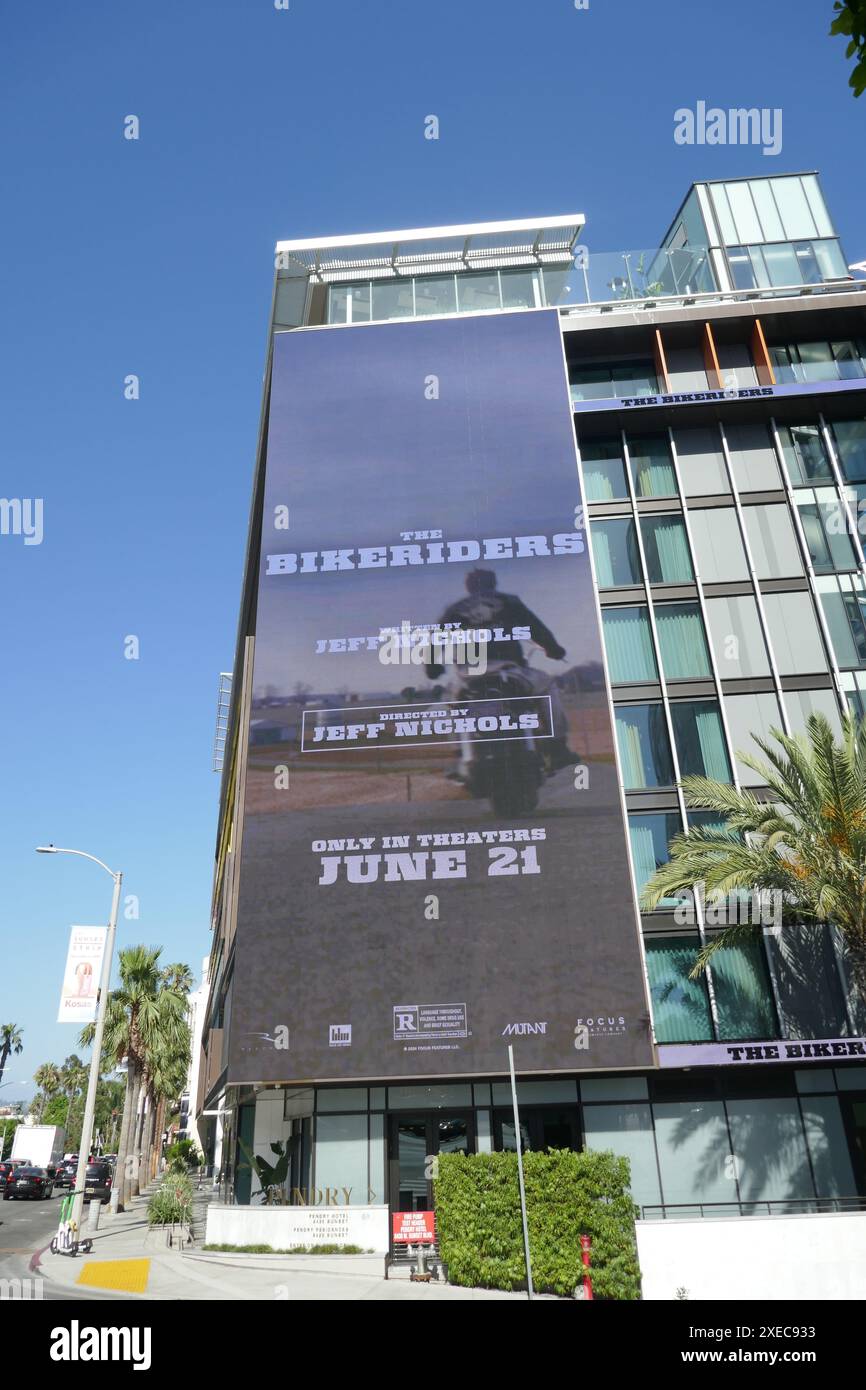 The bikeriders jodie comer hi-res stock photography and images - Alamy