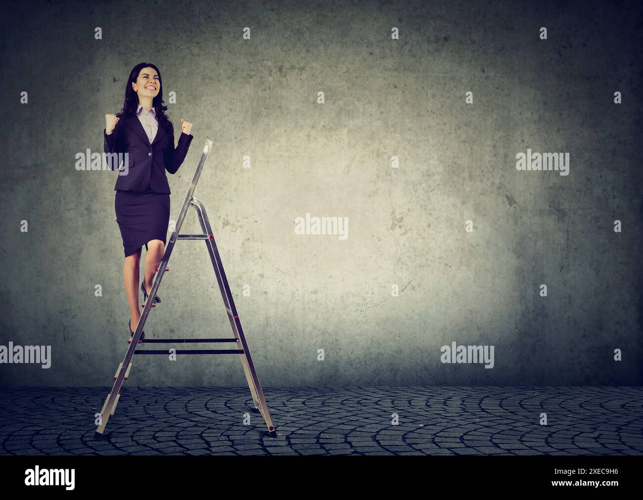 Business woman on a ladder celebrates achievement and success Stock ...