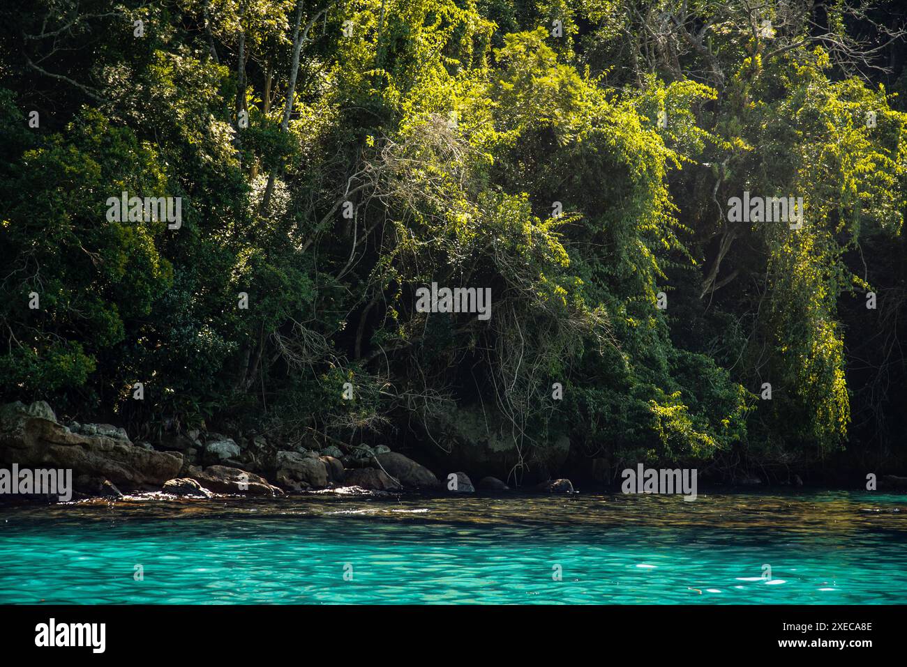 Turquoise Waters and Tropical Forests of Costa Verde - Rio de Janeiro ...