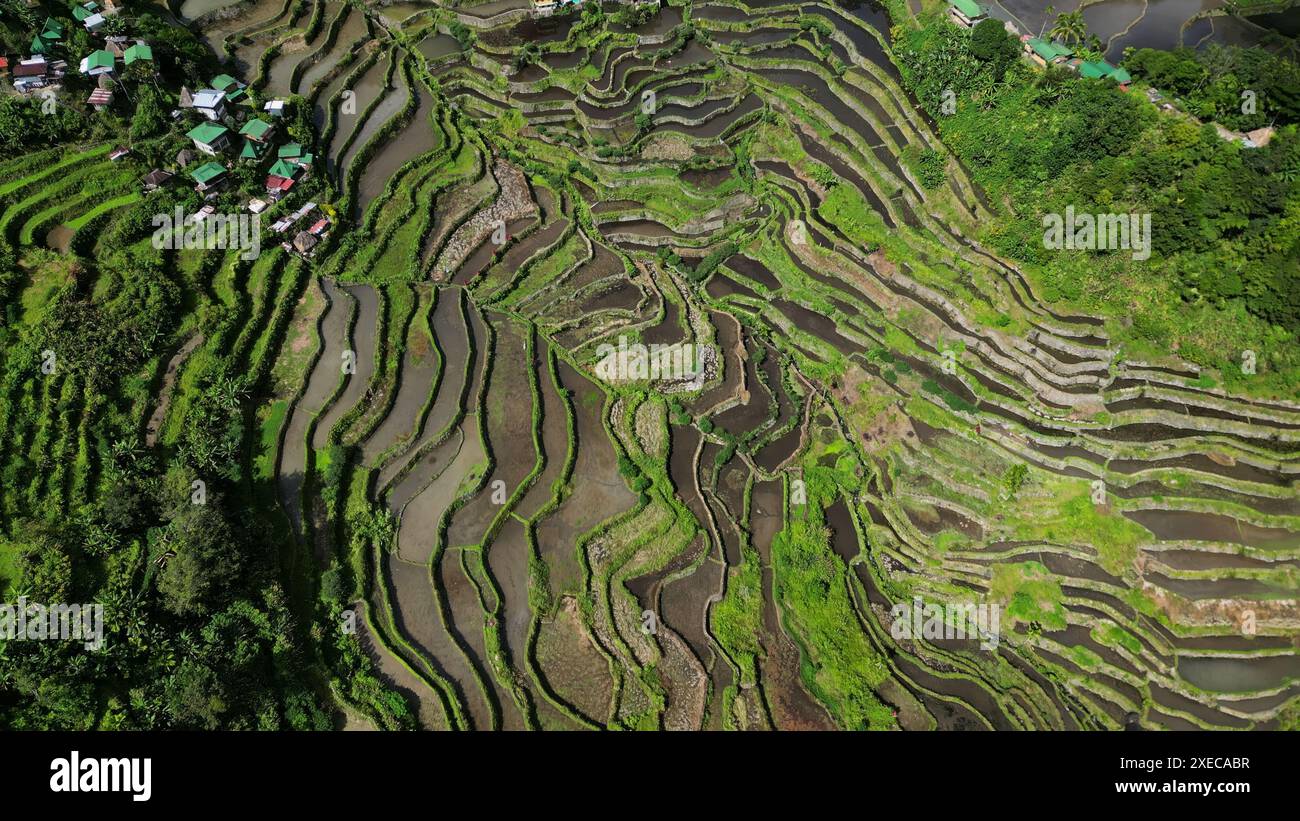 Batad Rice Terraces in Philippines Stock Photo - Alamy