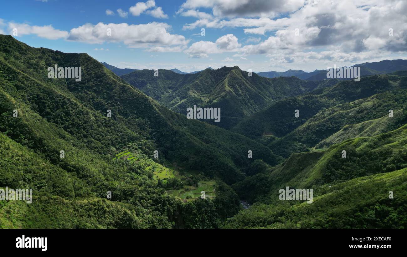 Drone flying over rainforest in hi-res stock photography and images - Alamy