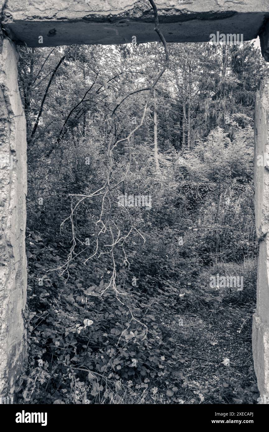 Stratified remains of ancient and modern fortresses. A unique example ...