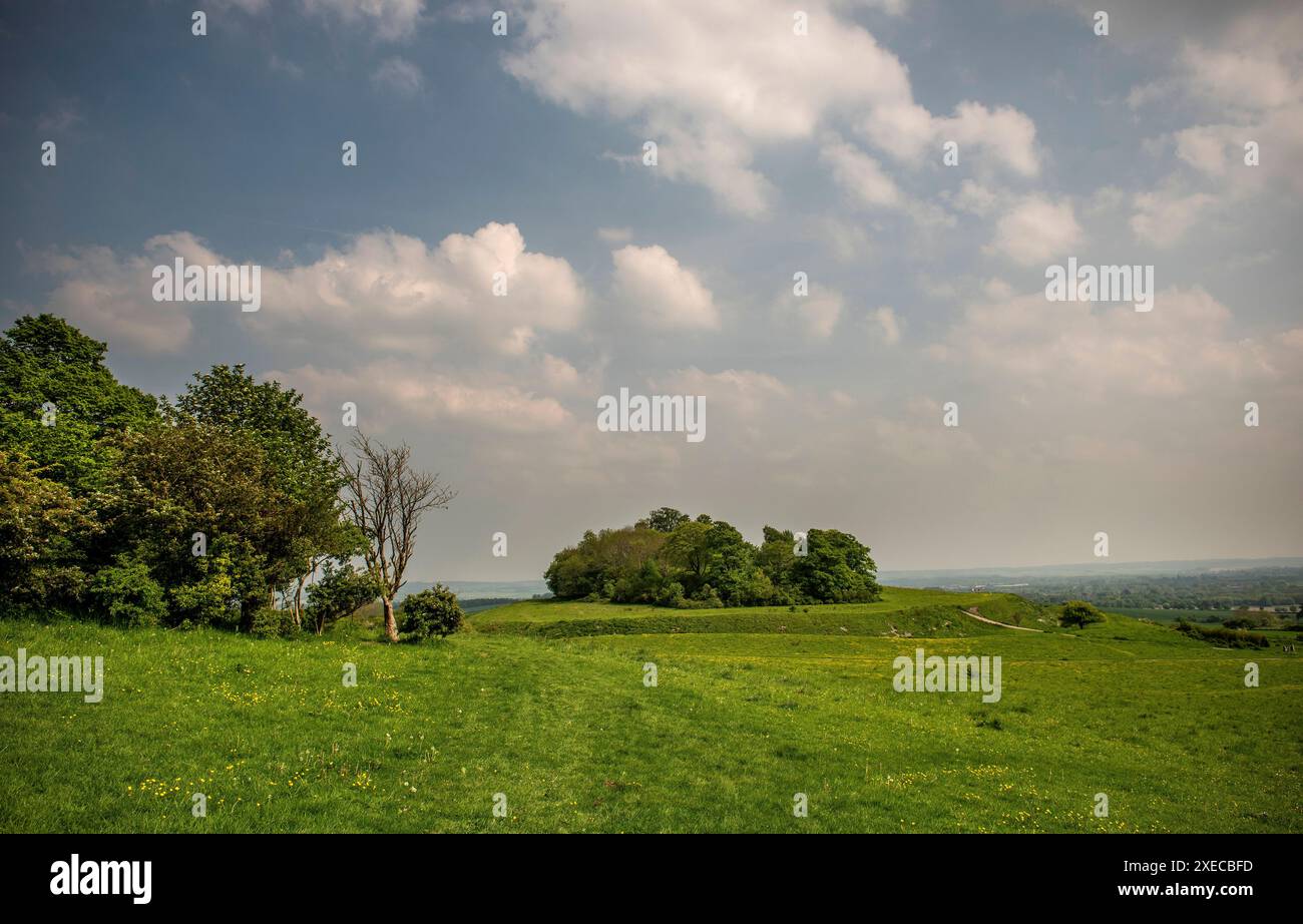 The enigmatic Wittenham Clumps chalk hills in Oxfordshire, UK Stock ...