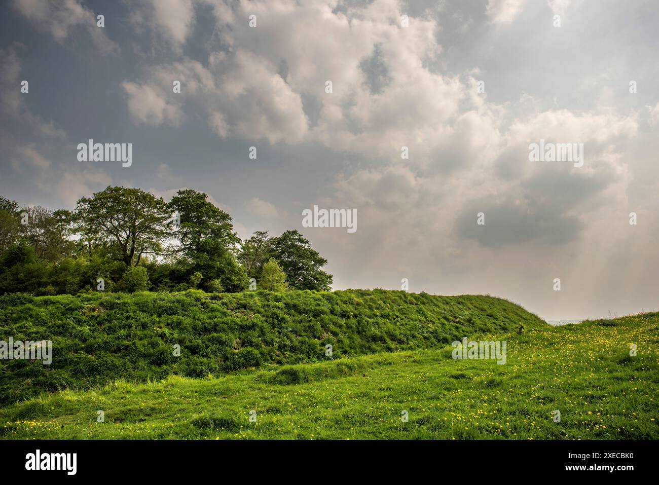 The enigmatic Wittenham Clumps chalk hills in Oxfordshire, UK Stock ...