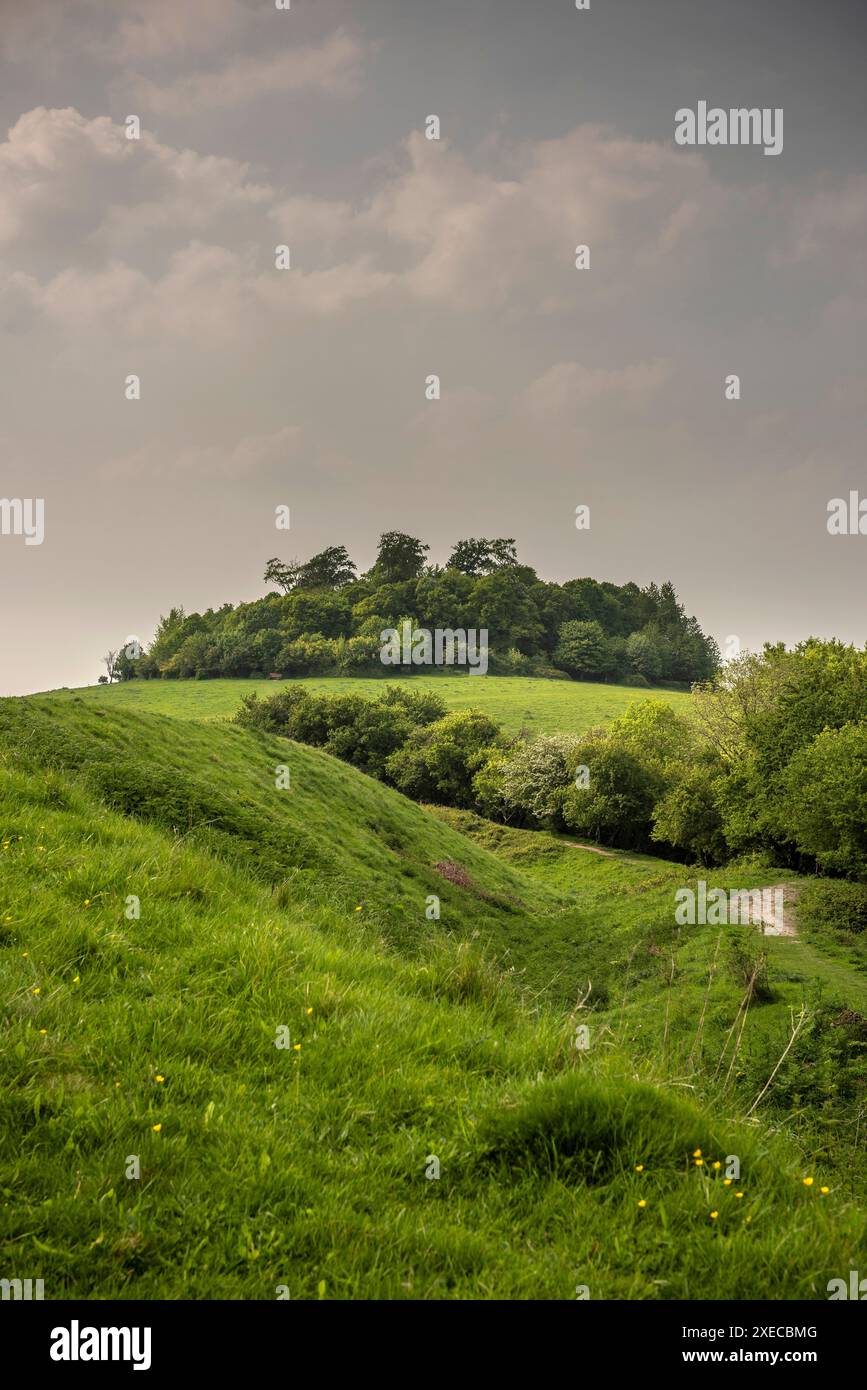 The enigmatic Wittenham Clumps chalk hills in Oxfordshire, UK Stock ...