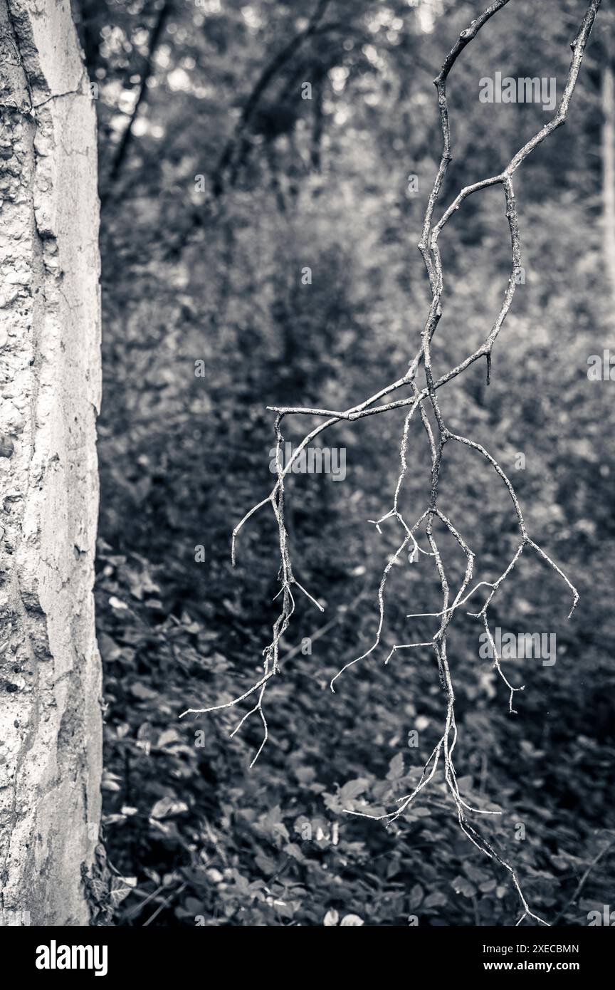 Stratified remains of ancient and modern fortresses. A unique example ...