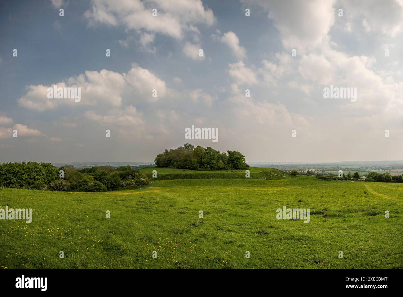 The enigmatic Wittenham Clumps chalk hills in Oxfordshire, UK Stock ...