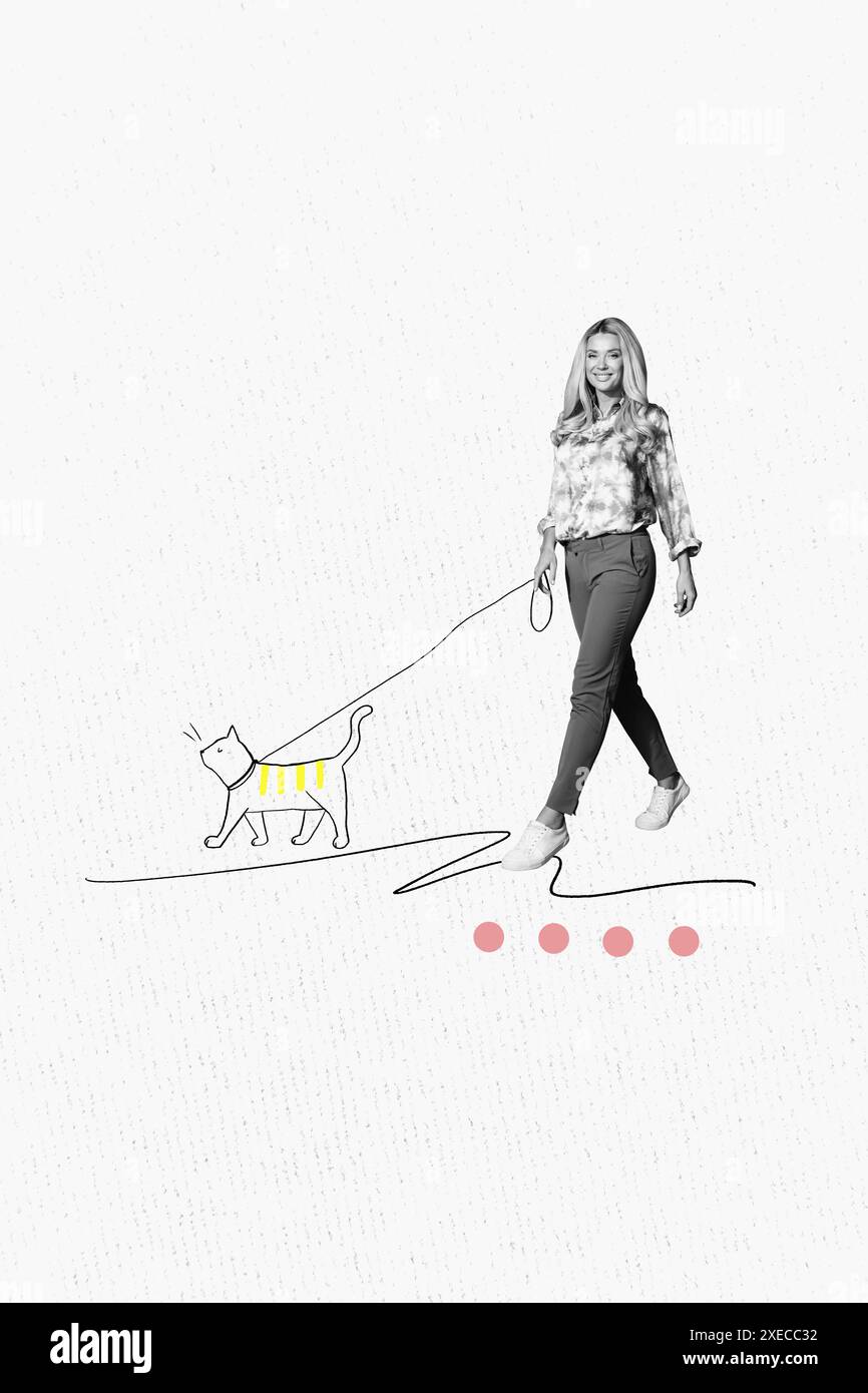 Vertical poster collage young carefree cheerful woman walk outdoors pet ...