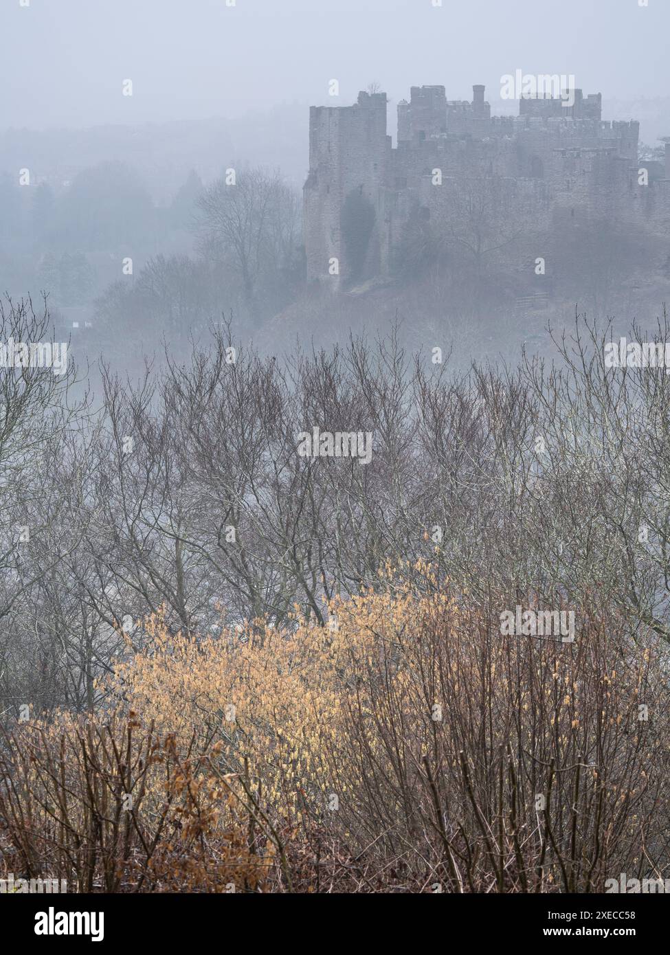 The Shropshire town of Ludlow viewed from Whitcliffe Common, Mortimer ...