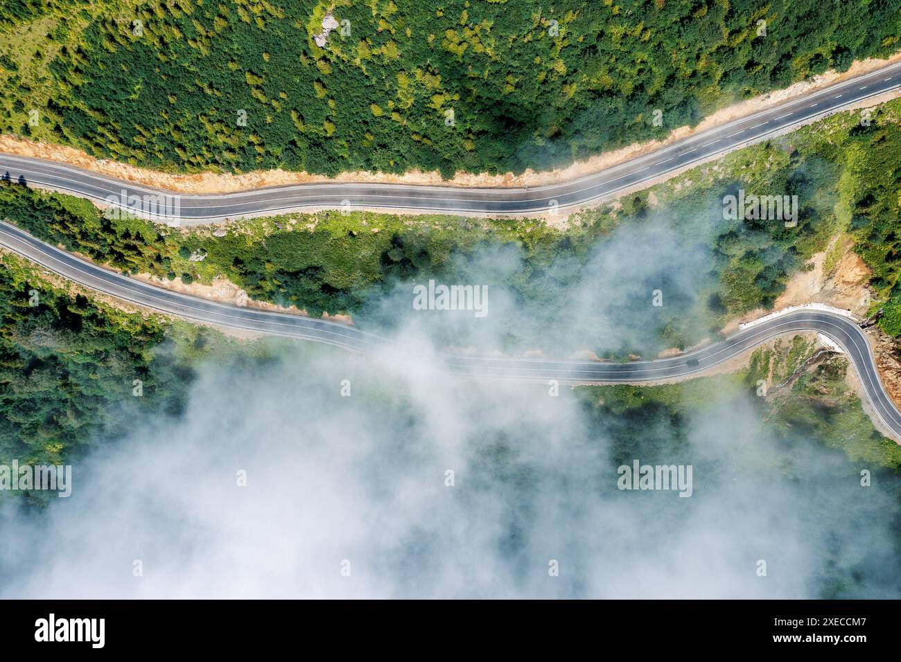Winding mountain road disappearing into thick fog at Gomismta, symbolizing mystery and ...