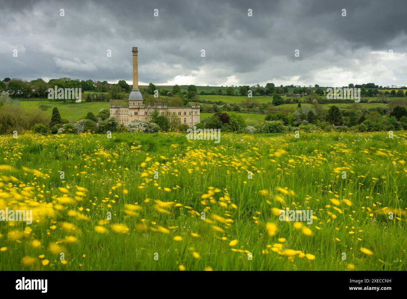 Bliss Tweed Mill over a buttercup meadow in the Cotswolds, Chipping ...