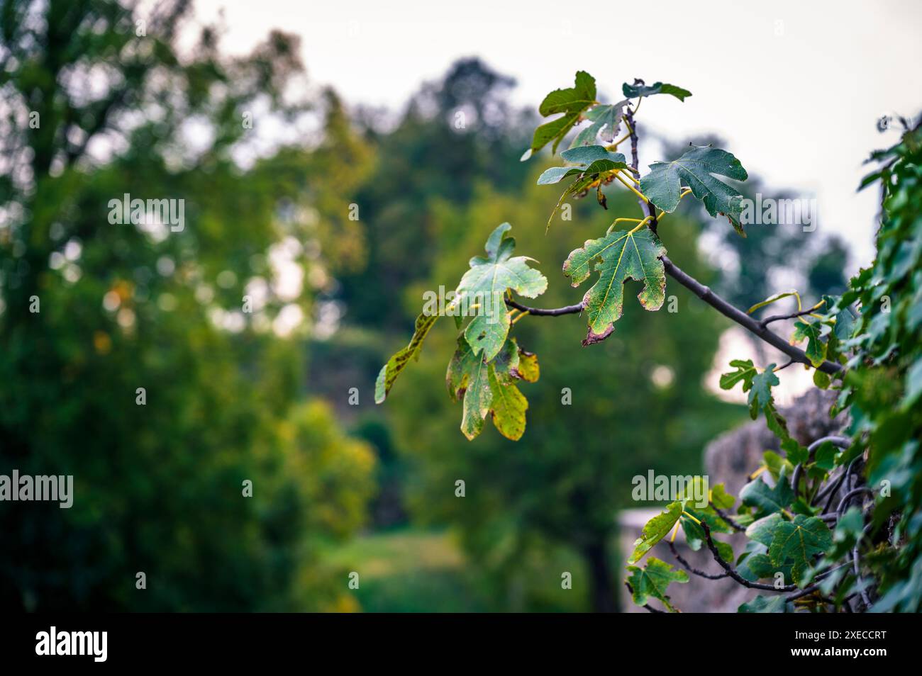 Stratified remains of ancient and modern fortresses. A unique example ...