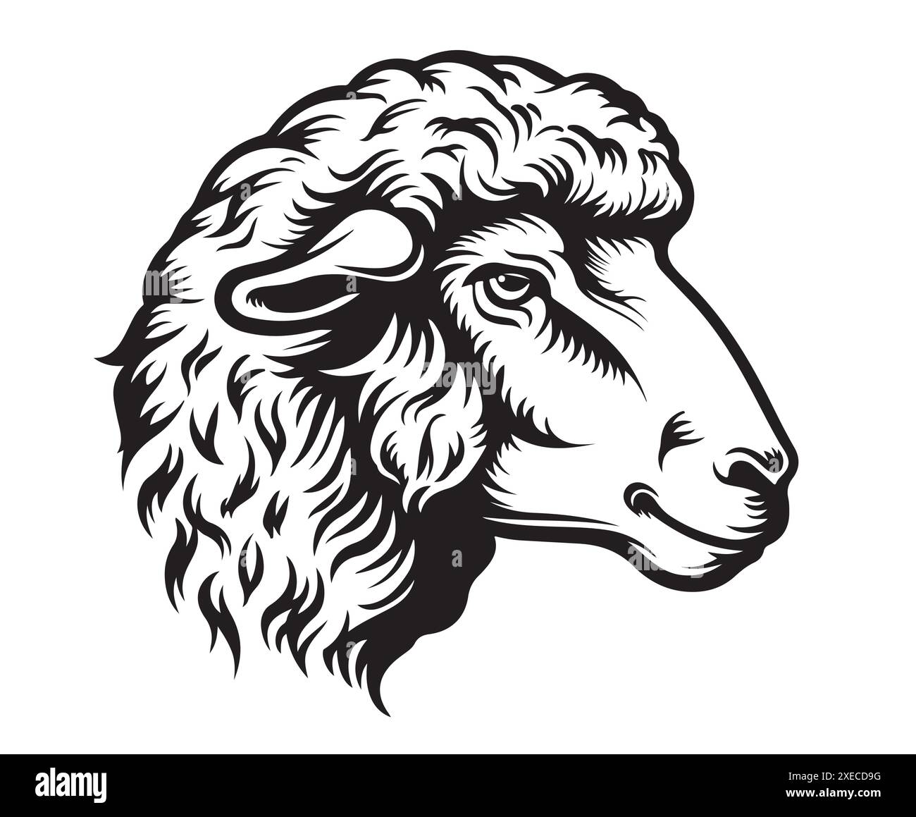 Sketch of sheep, Hand drawn vector illustration Stock Vector Image ...